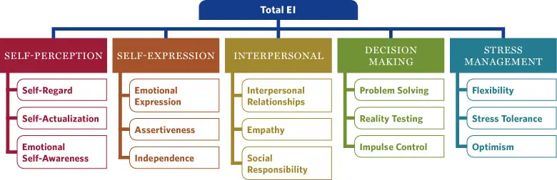 EQ-i 2.0 and EQ-360 emotional intelligence feedback and coaching | Andi ...
